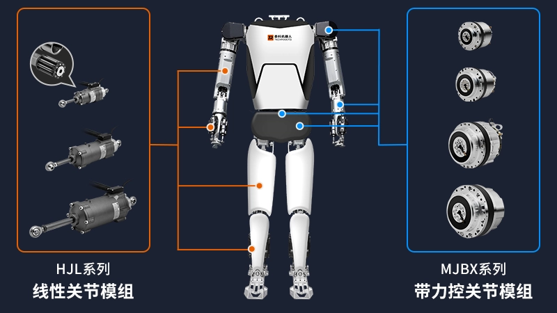 Key Technical Factors for Selecting High-Performance Humanoid Robot ...